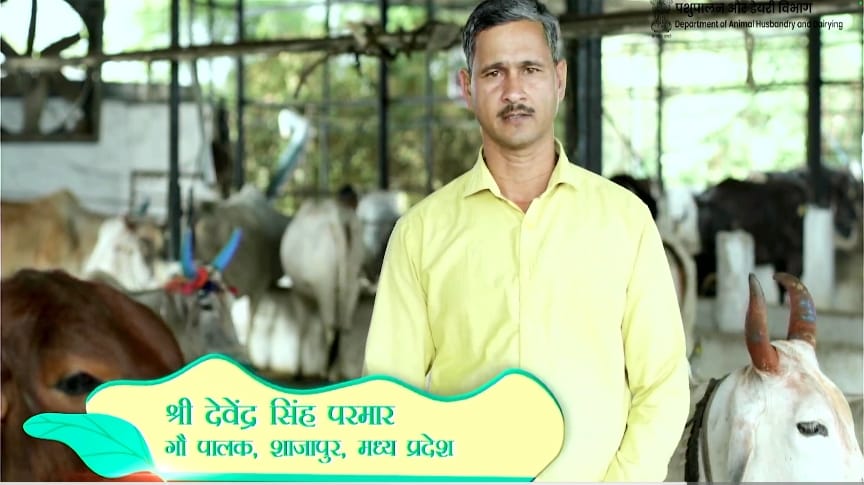 Milk Dairy - Your Dairy, Our Solution!